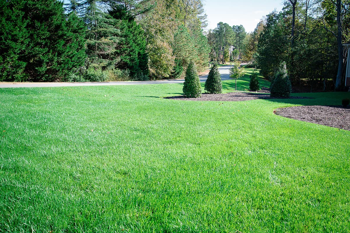Lawn Care Company in Williamsburg, VA | Lawn Envy